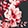 Sale Sleep | Soma